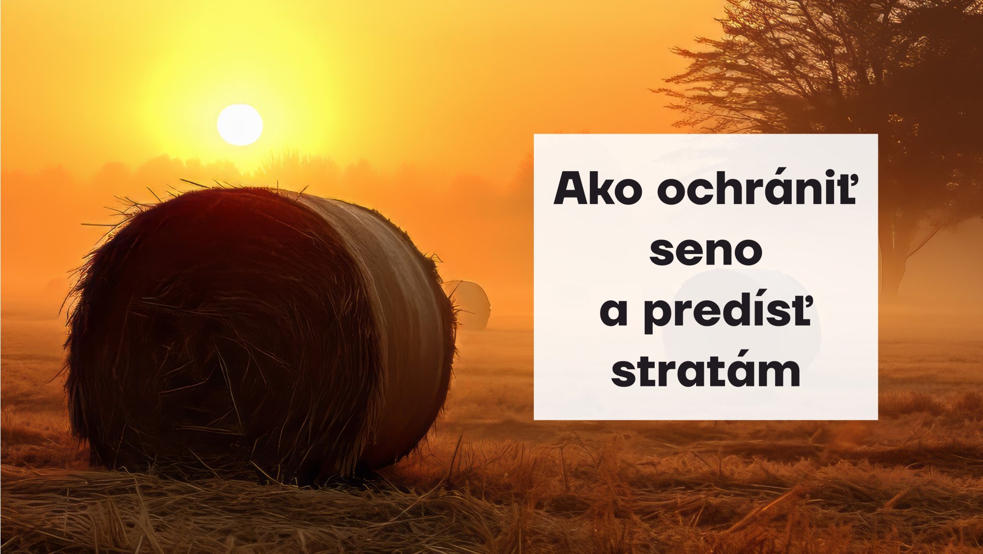 Ako ochrániť seno a predísť stratám | shopJK.sk